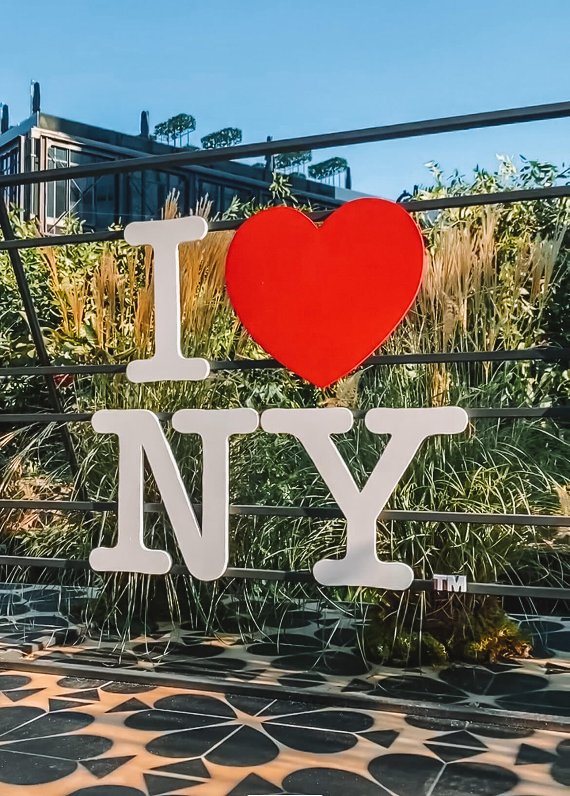 Perché New York si chiama la Grande Mela: storia e curiosità del ...